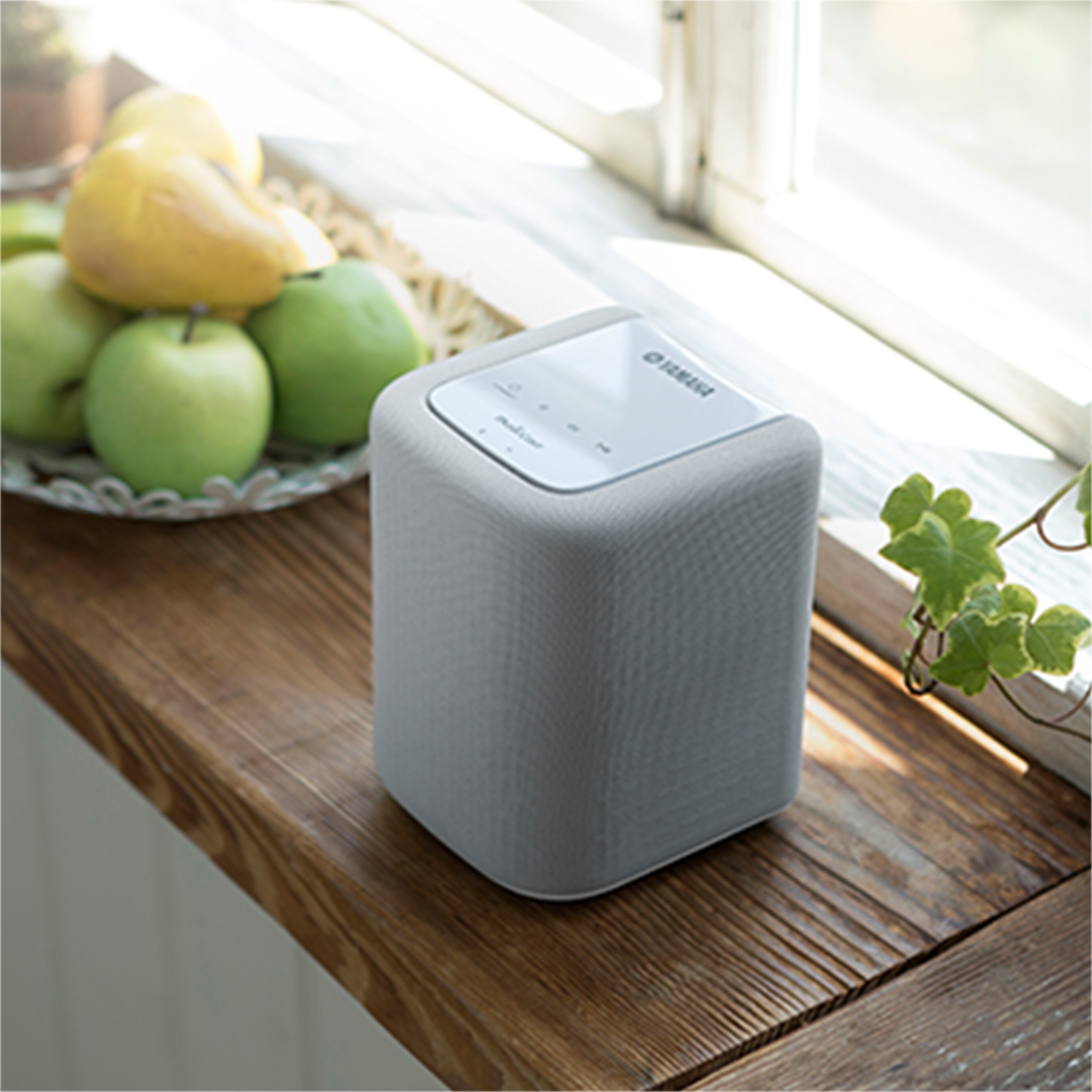 WX-010 - Specs - Wireless Speakers - Products - Home Audio - Audio ...